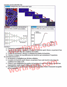 jami3dorosmaroc - Les microbes 3ac exercices corrigés + PDF
